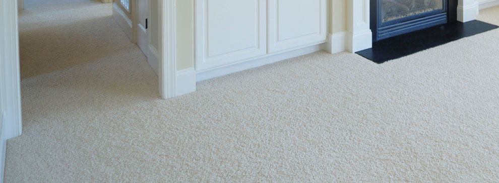 San Antonio Carpet Cleaning, Carpet Care | Steamer's Carpet Care